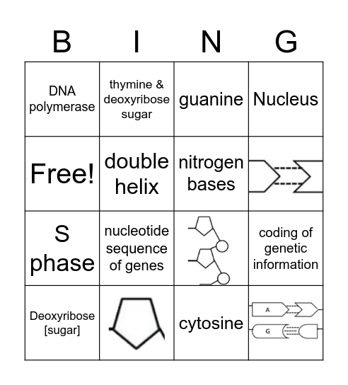 DNA Structure Bingo Card