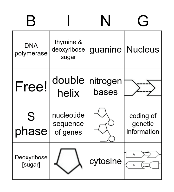 DNA Structure Bingo Card