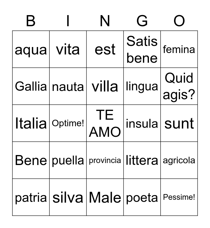 Latin Road Ch 1 Bingo Card