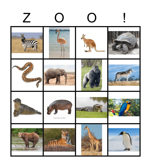 Zoo Animals Bingo Card
