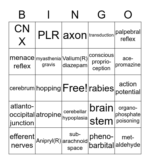Neurology Bingo Card