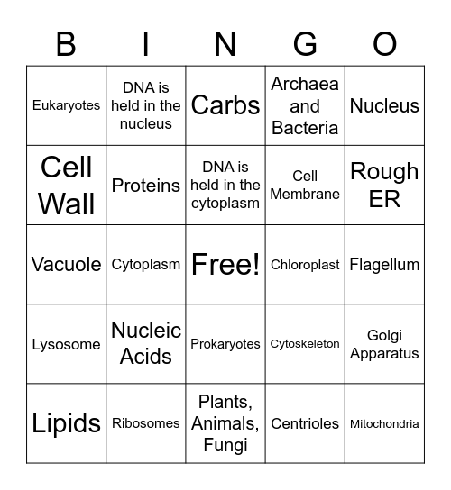 Cell Organelle Bingo! Bingo Card