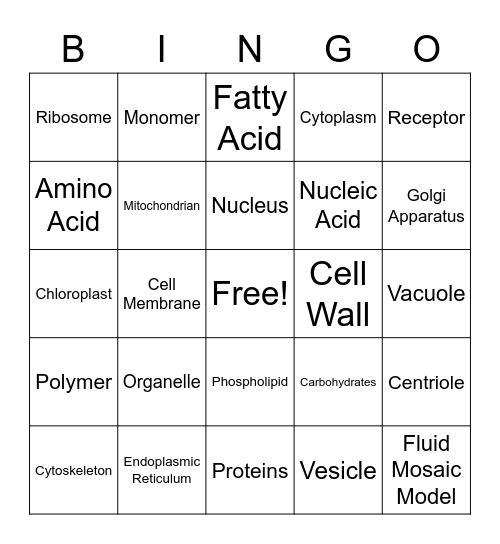 Ninth Grade Bio Test Unit 1 Bingo Card