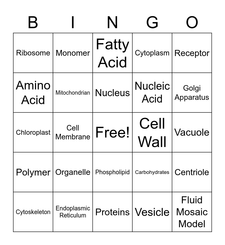 Ninth Grade Bio Test Unit 1 Bingo Card