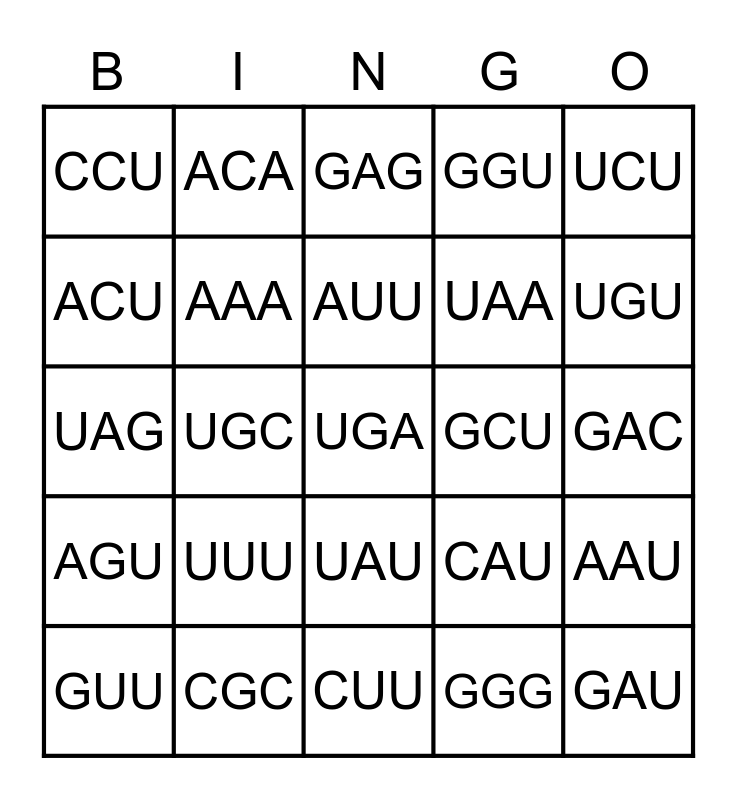 RNA CODON Bingo Card