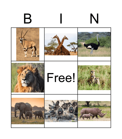 Safari Bingo Card