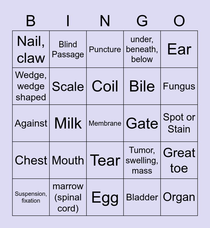Med Terms List 5 Bingo Card