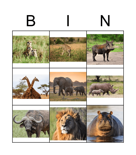 Safari Animal Bingo Card