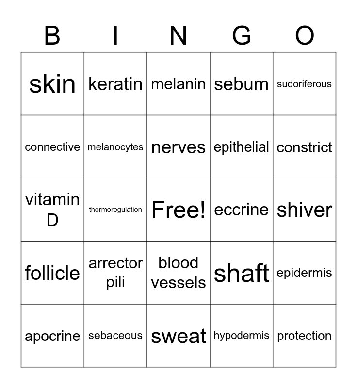 Integumentary System Exam Review Bingo Card