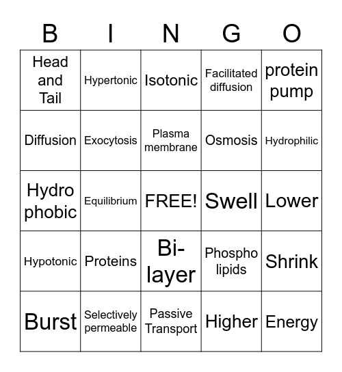 Cell Membrane & Cell Transport Bingo Card