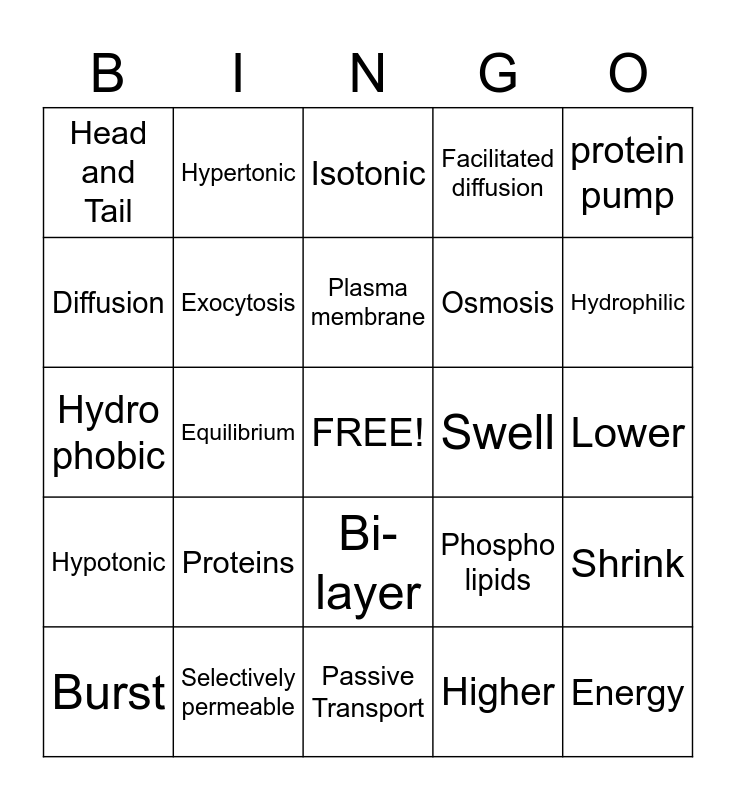 Cell Membrane & Cell Transport Bingo Card
