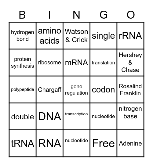 DNA/RNA/Protein Synthesis Bingo Card