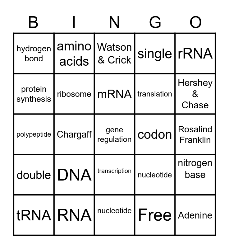 DNA/RNA/Protein Synthesis Bingo Card