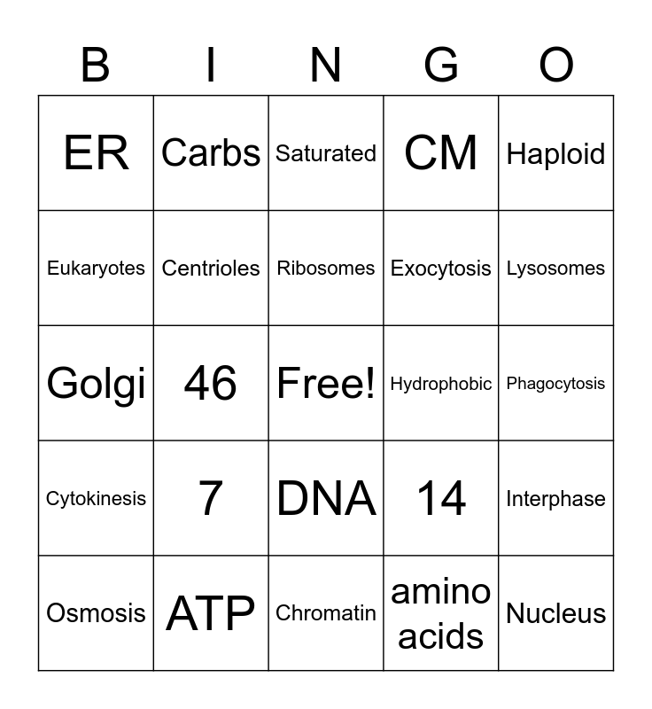 A Bio Bingo 1 Bingo Card