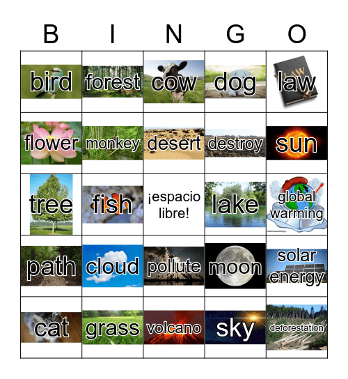 La naturaleza Bingo Card