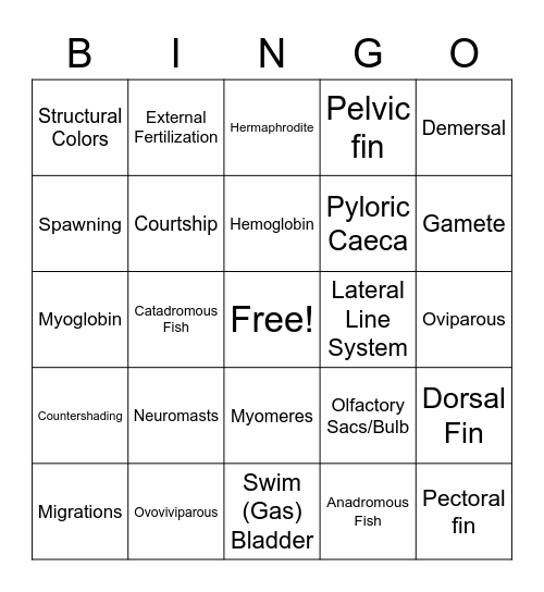 Fish Vocabulary Bingo Card