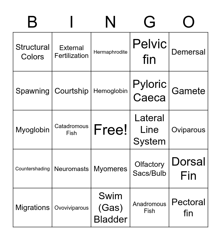 Fish Vocabulary Bingo Card