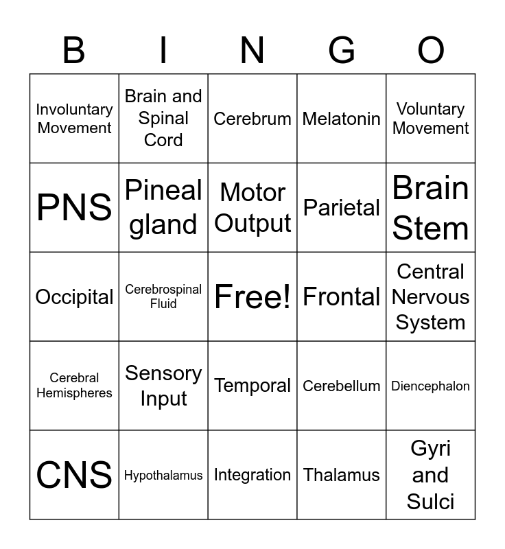 Nervous System 1 Bingo Card