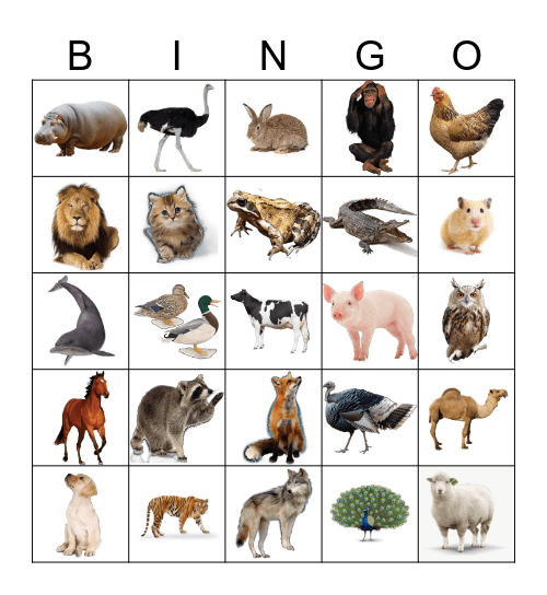 4. ANIMALS Bingo Card