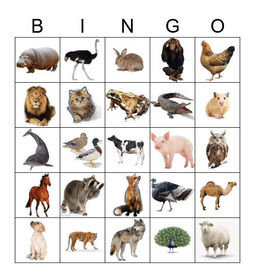 ANIMALS Bingo Card