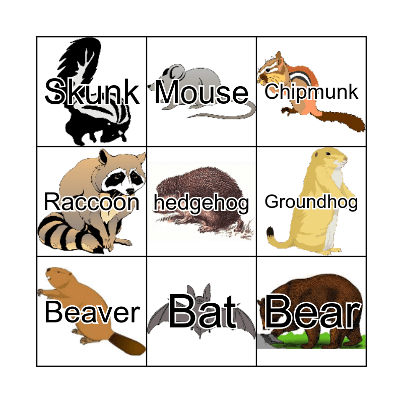 Hibernation Bingo Card