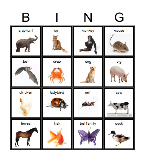 Animals Bingo Card