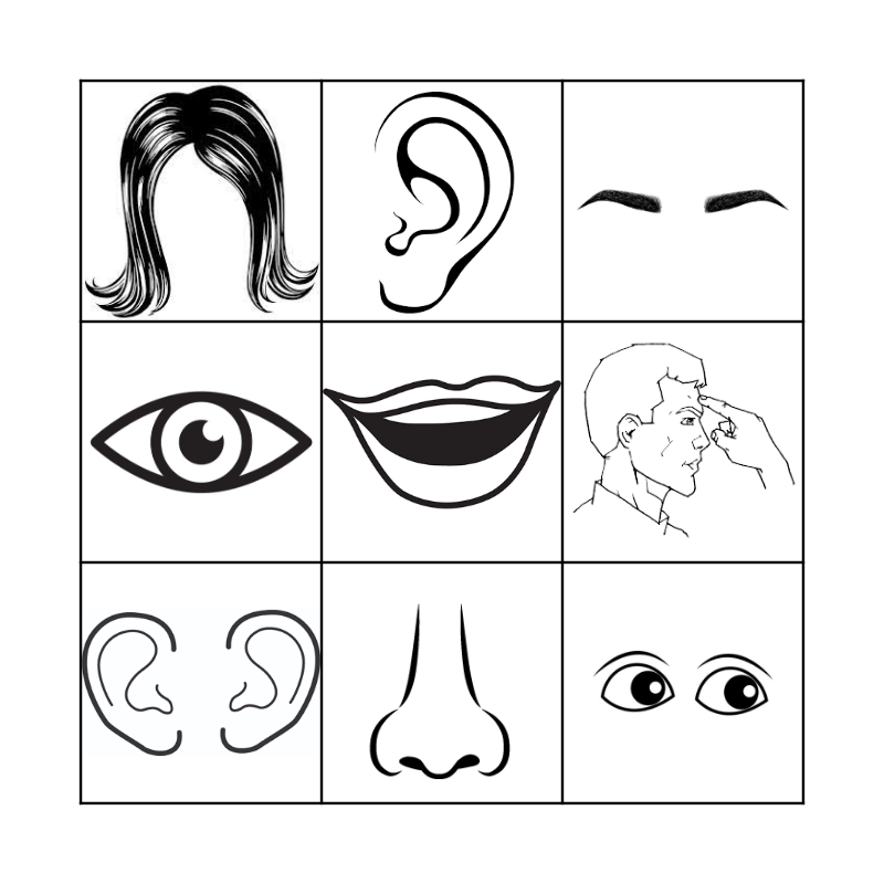 Parts of the Face Bingo Card