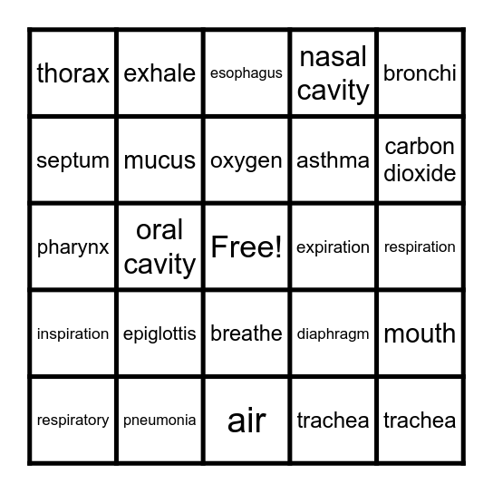 Respiratory System Bingo Card