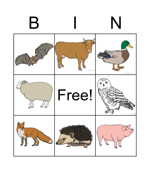 Diurnal and Nocturnal animal bingo! Bingo Card
