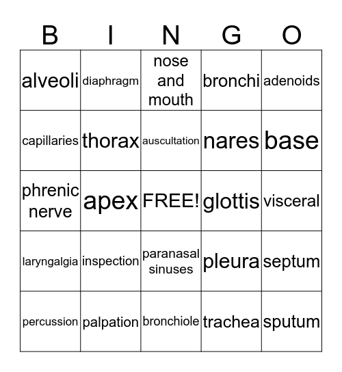 Respiratory System Bingo Card