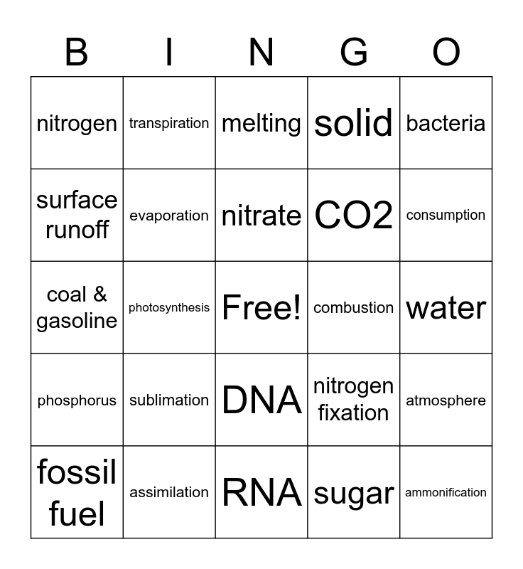 Biogeochemical Cycles Bingo Card