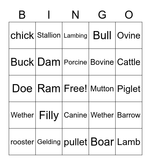 Livestock Terminology Bingo Card