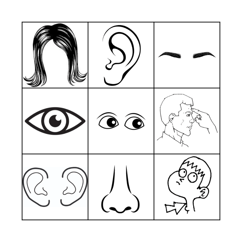 Parts of the Face Bingo Card