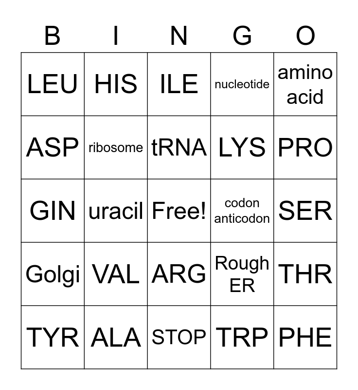 Protein Synthesis BINGO Card