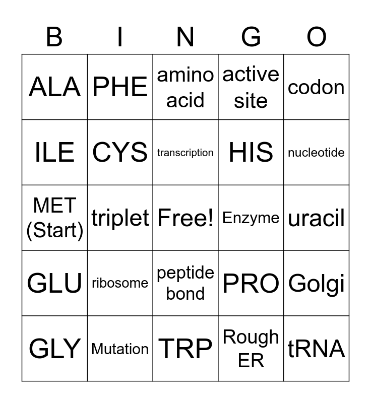 Protein Synthesis BINGO Card