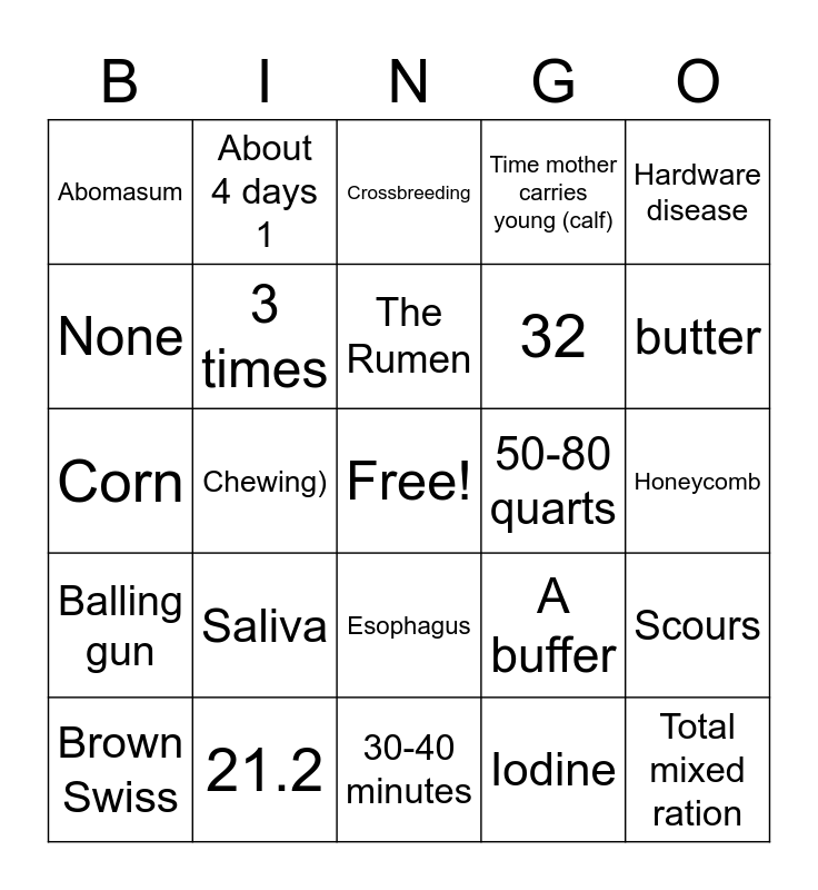 Homework 3 - Easier Bingo Card