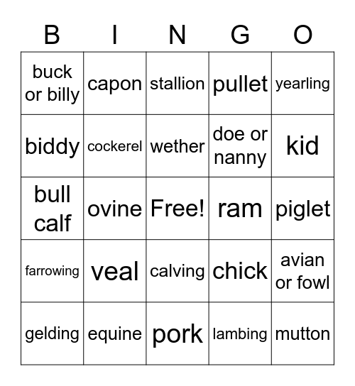 Livestock Terms BINGO Card