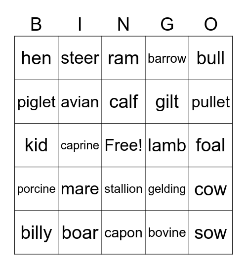 Livestock terminology Bingo Card
