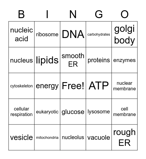 Animal Cells Bingo Card