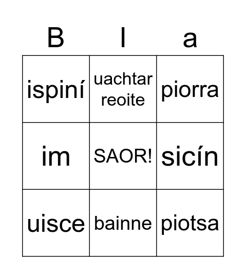 bia Bingo Card