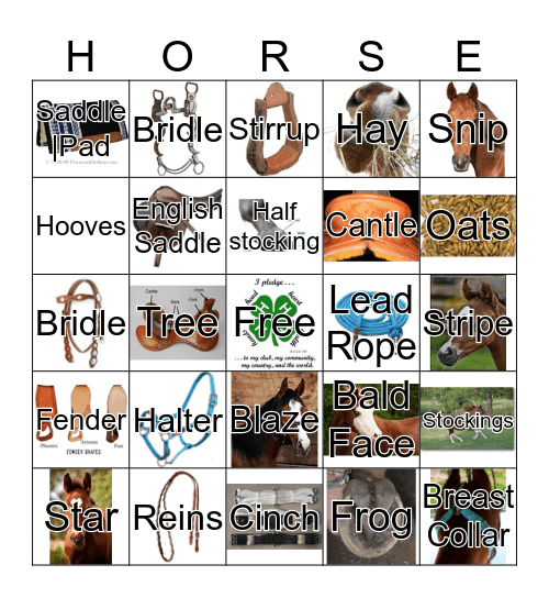 Horse Bingo Card