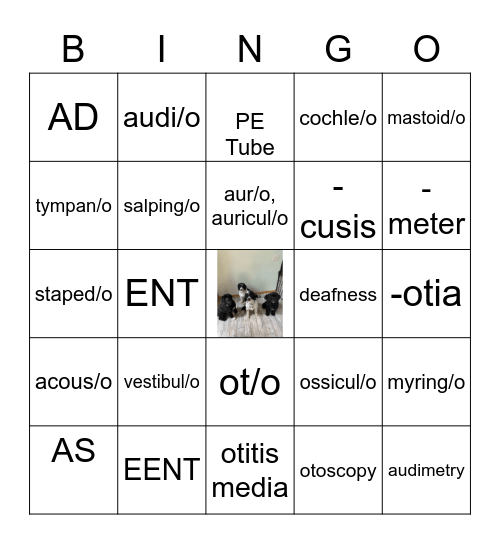 Chapter 17 - Ear Bingo Card