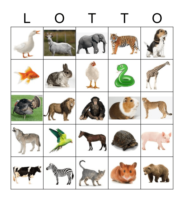 LOTTO - Les animaux Bingo Card