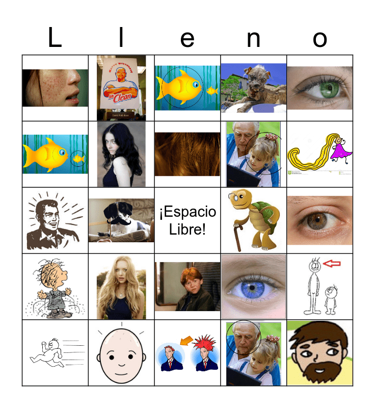 Los adjetivos de apariencia Bingo Card