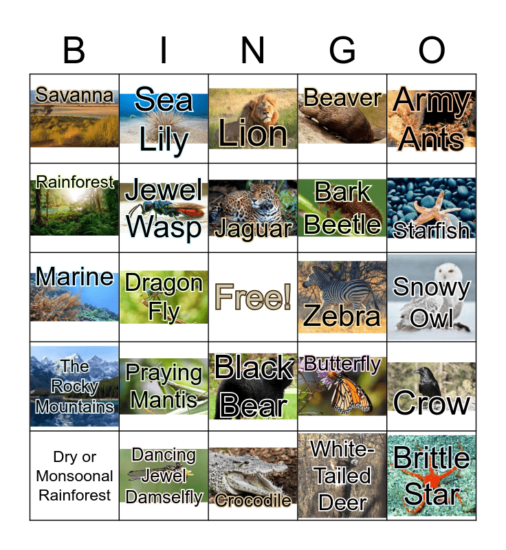 Ecosystem Bingo! Bingo Card