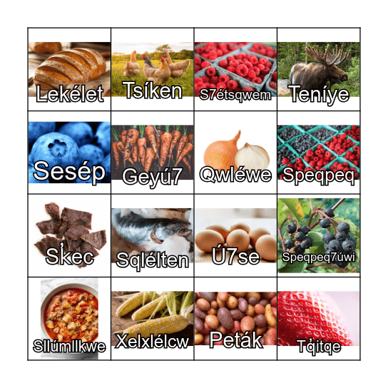 Secwépemc Stsíllen Bingo Card