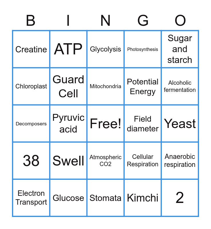 Earth's Atmosphere Bingo Card