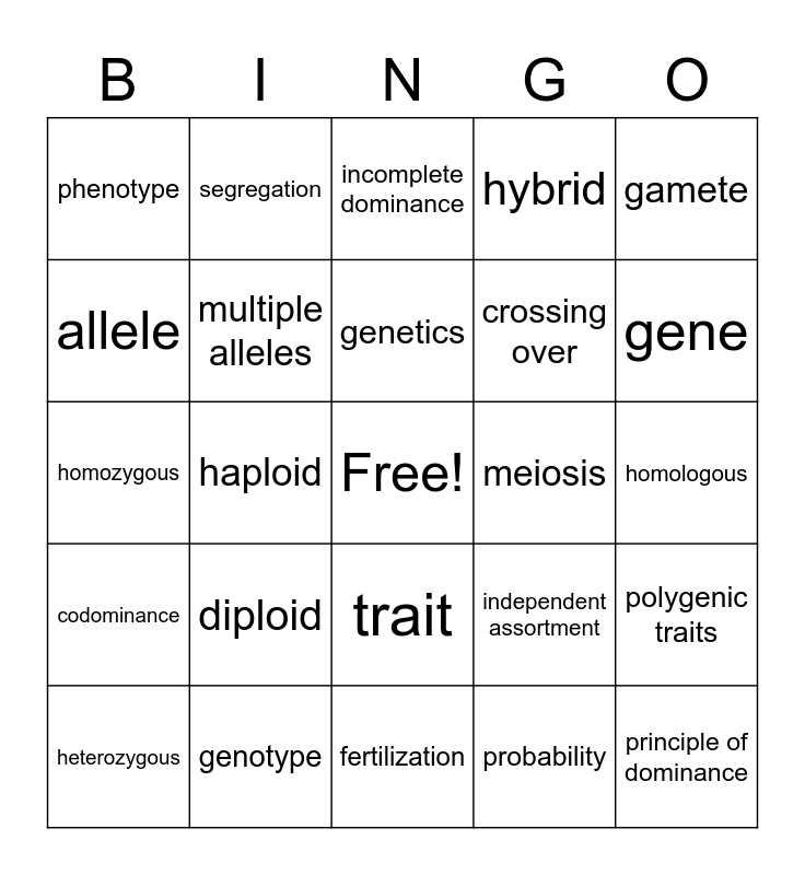 Introduction to Genetics Bingo Card