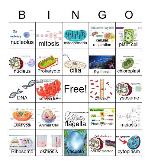 Cell Bingo Card