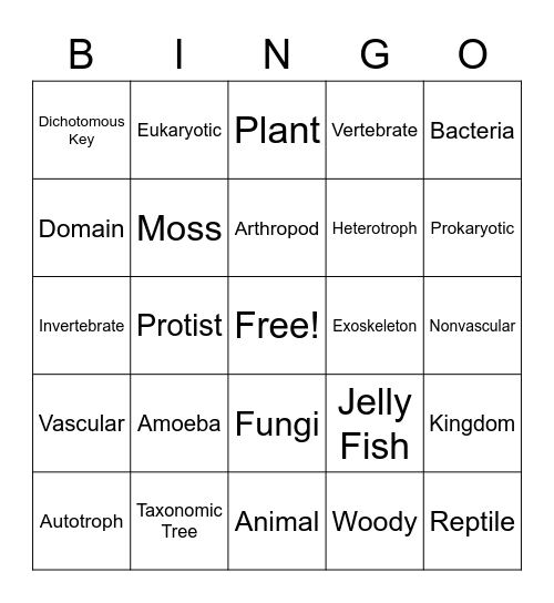 Classification Bingo Card